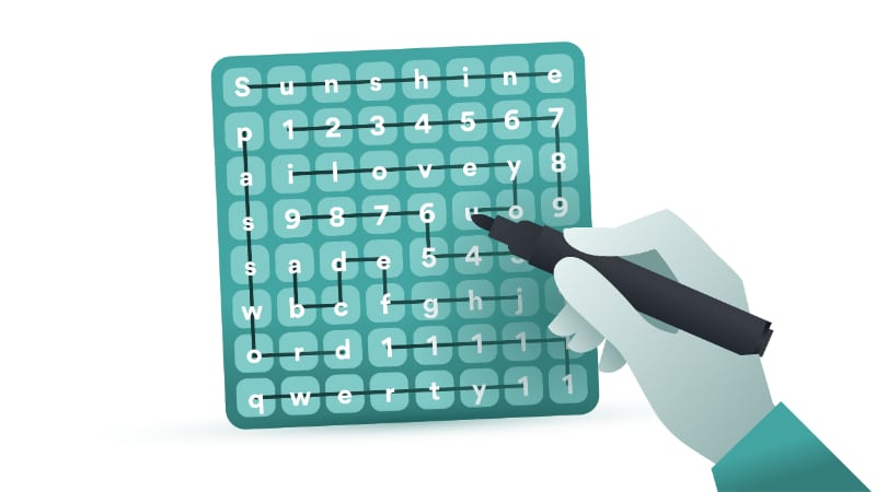 ¿Son seguras las contraseñas en formato texto? | NordPass