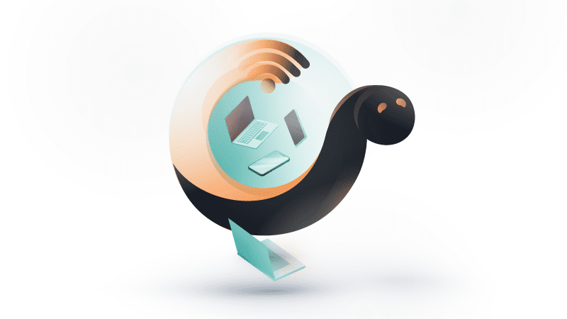 Cos'è un worm informatico? | NordPass